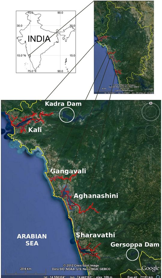 Edible Bivalves of Central West Coast, Uttara Kannada District ...