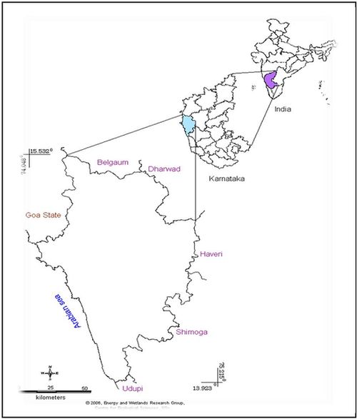 An appraisal and conservation strategies for the pteridophytes of ...