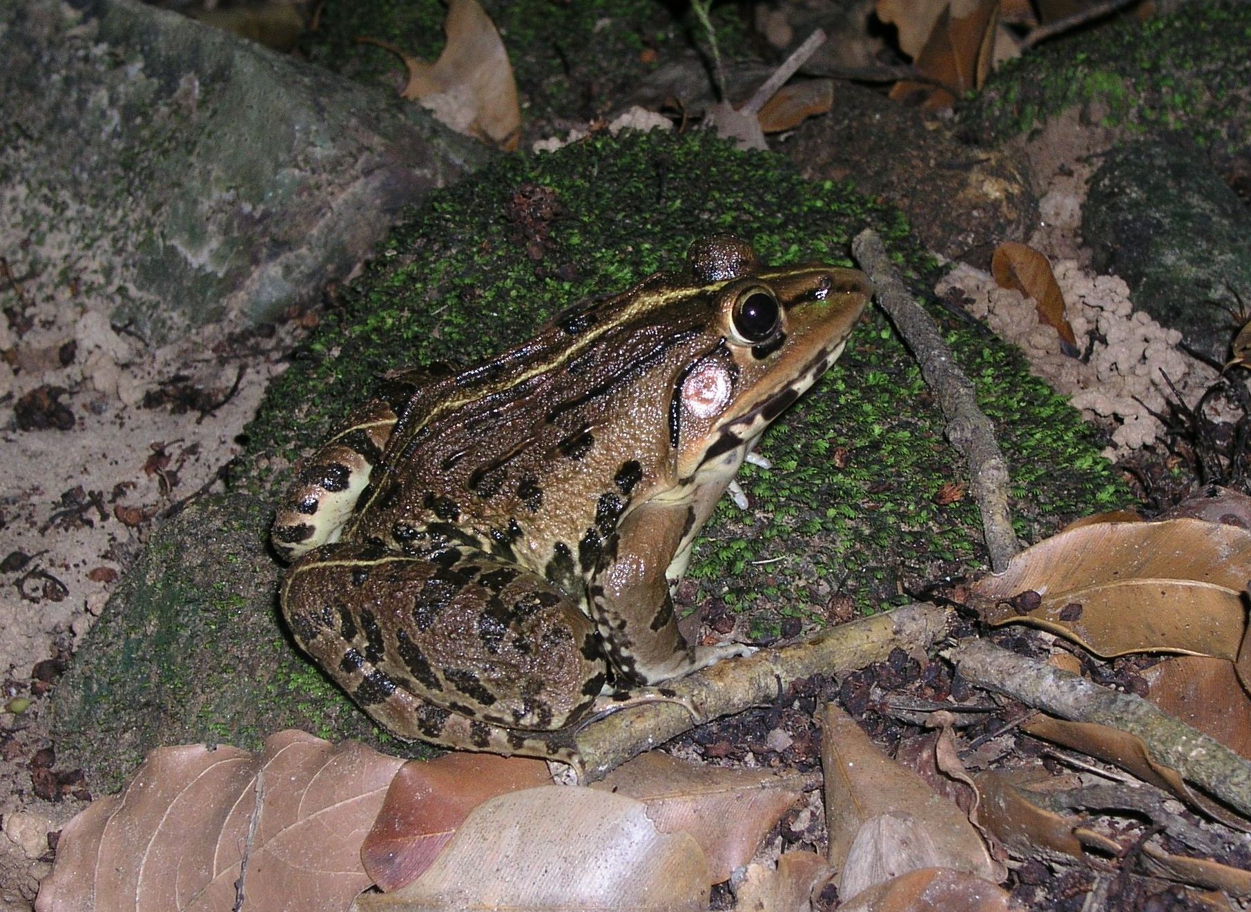 Untitled Document [wgbis.ces.iisc.ac.in]