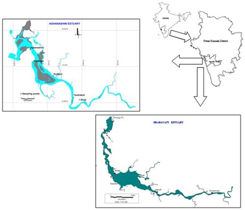 Impact of Hydroelectric Dams on Fisheries in the Sharavathi Estuary of ...