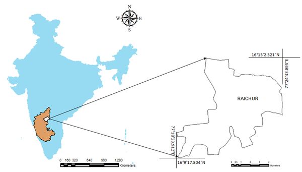 Spatio-temporal dynamics of Raichur City