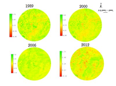 Land use Land Cover Dynamics in a rapidly urbanizing Landscape