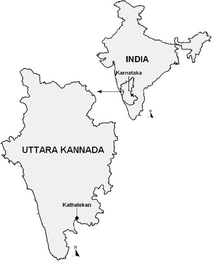 Ecology of the Swampy Relic Forests of Kathalekan from Central Western ...